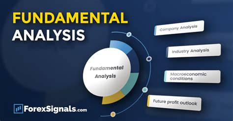 Fundamental Analysis in Forex: A Complete Overview - Forexquad