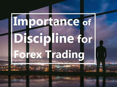 The Importance of Discipline in Forex Trading - Forexquad
